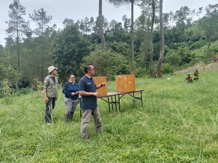 Pulihkan Ekosistem, PKEK Lepas Elang Alap-alap Jambul dan Menanam Pohon ...